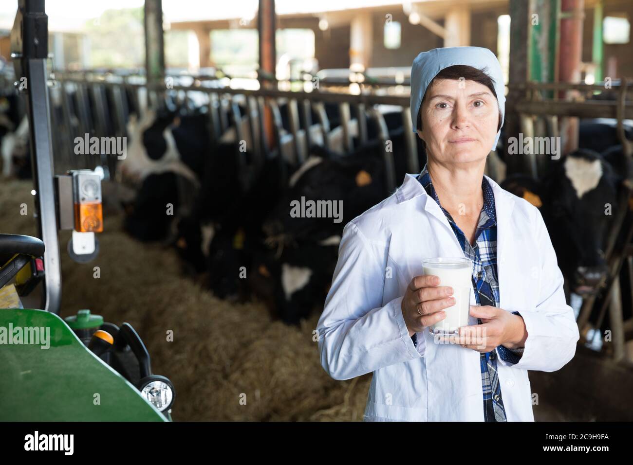 Female quality expert is standing in uniform at the cow farm Stock ...