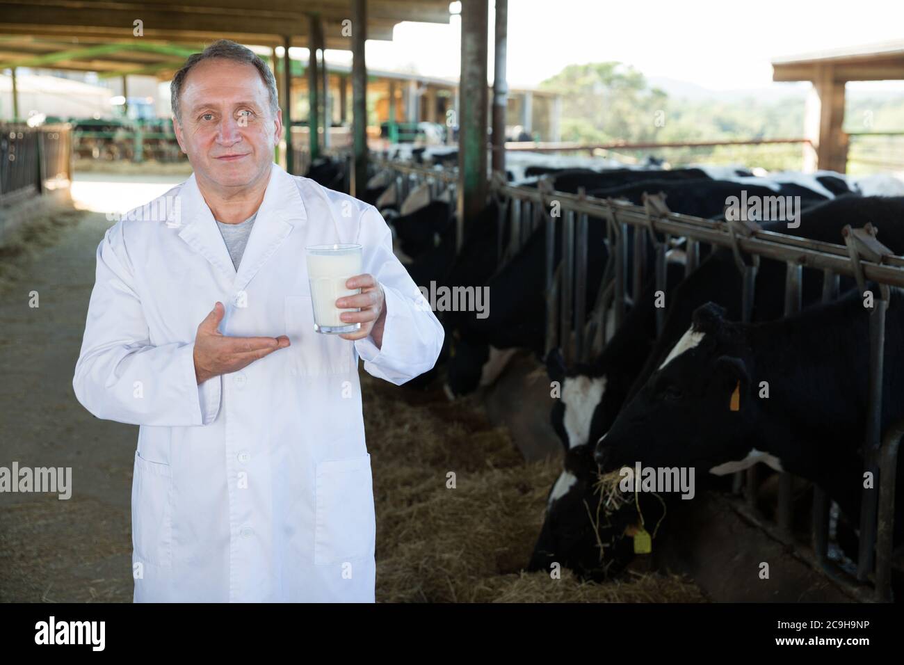 Expert in the dairy field hi-res stock photography and images - Alamy