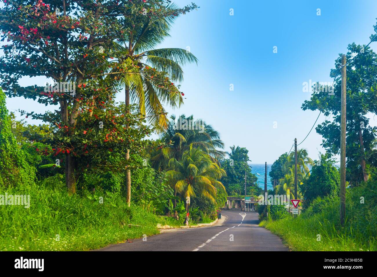 Picturesque country road in Guadeloupe, French west indies. Lesser ...
