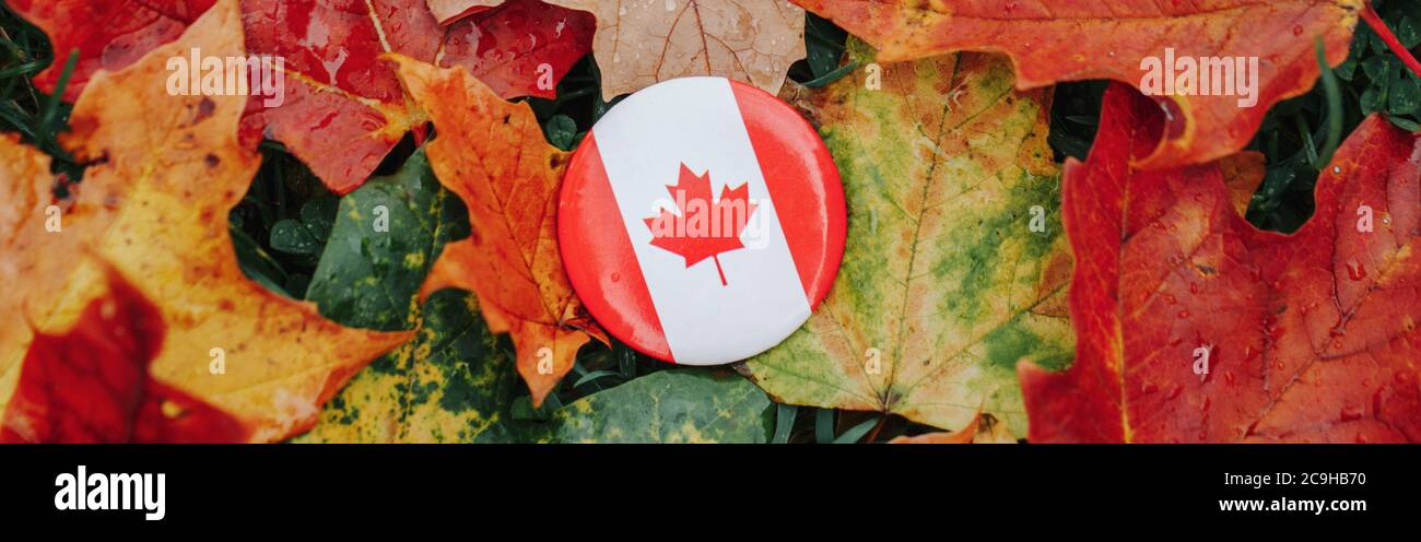 Badge canadian flag hi-res stock photography and images - Alamy