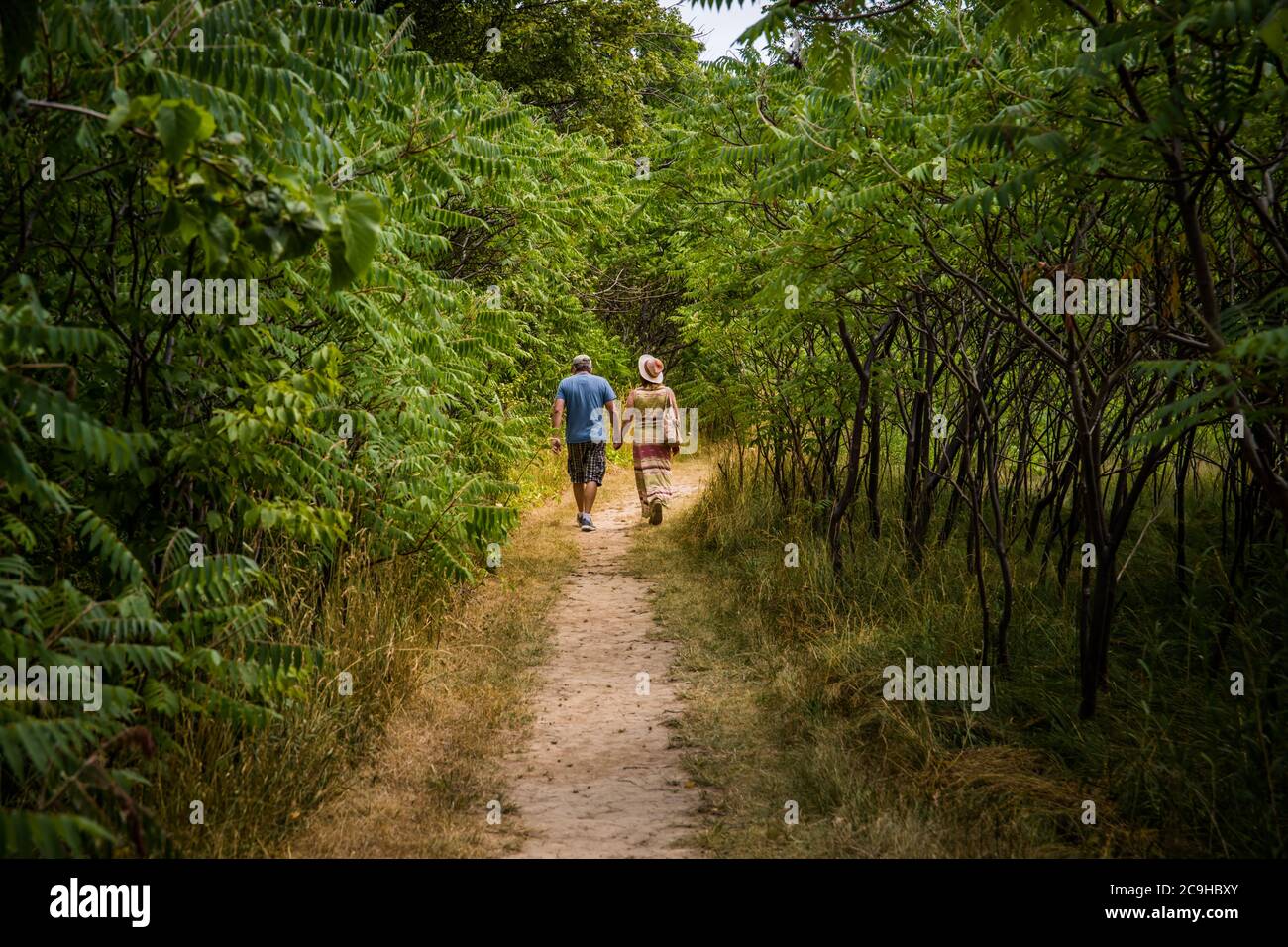 Family walking park woods hi-res stock photography and images - Alamy