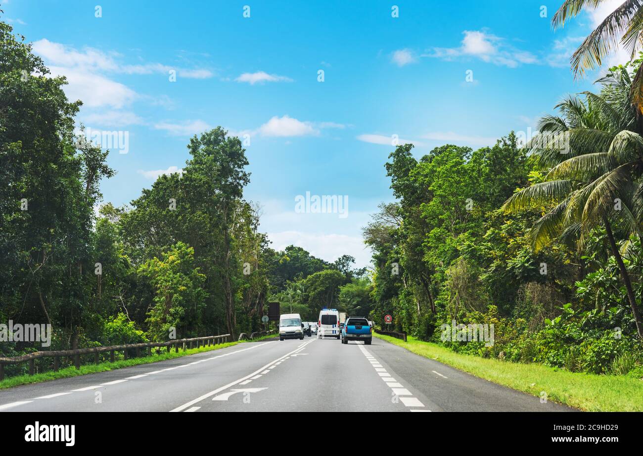 Lush vegetation on edge tropical hi-res stock photography and images ...