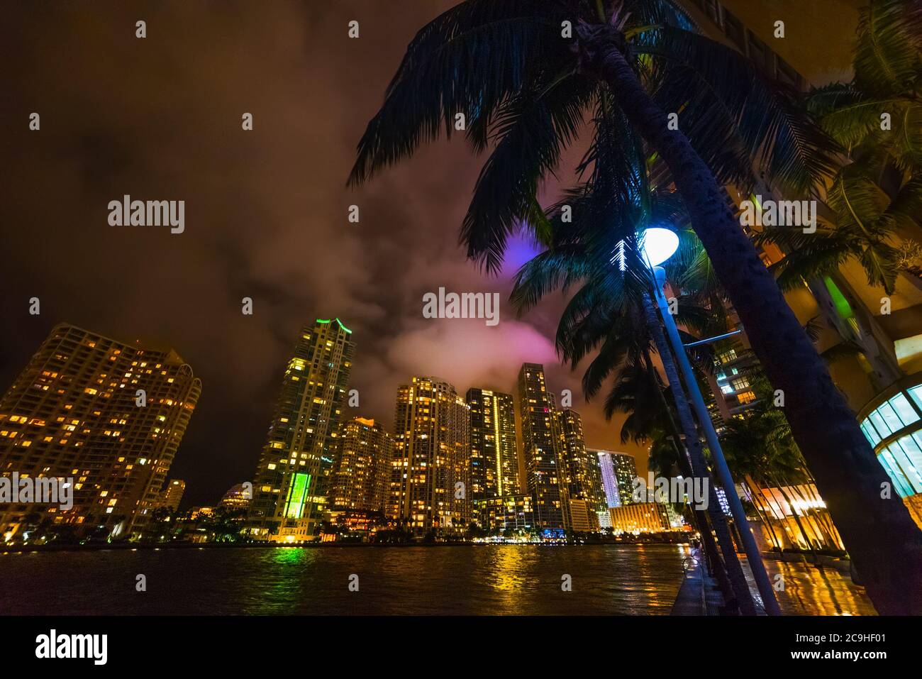 Palm trees and skyscrapers in Miami river walk by night. Southern ...