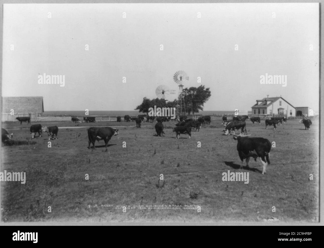 Ja ranch hi-res stock photography and images - Alamy