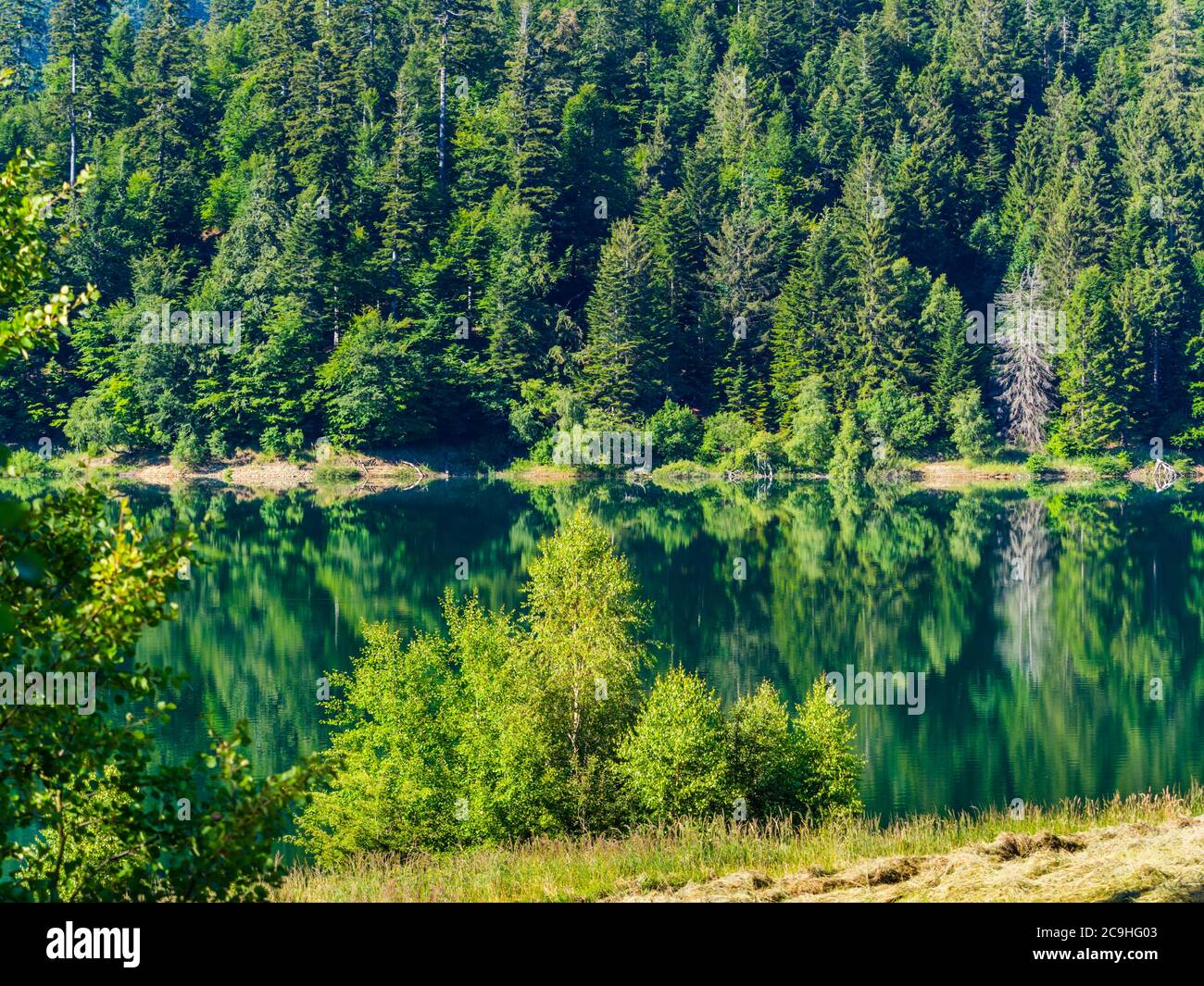 Preserved natural environment hi-res stock photography and images - Alamy