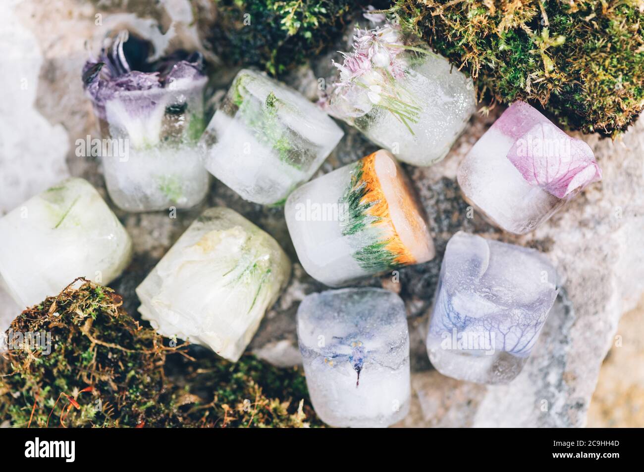 Frozen Flowers in Ice Cubes Stock Photo - Alamy