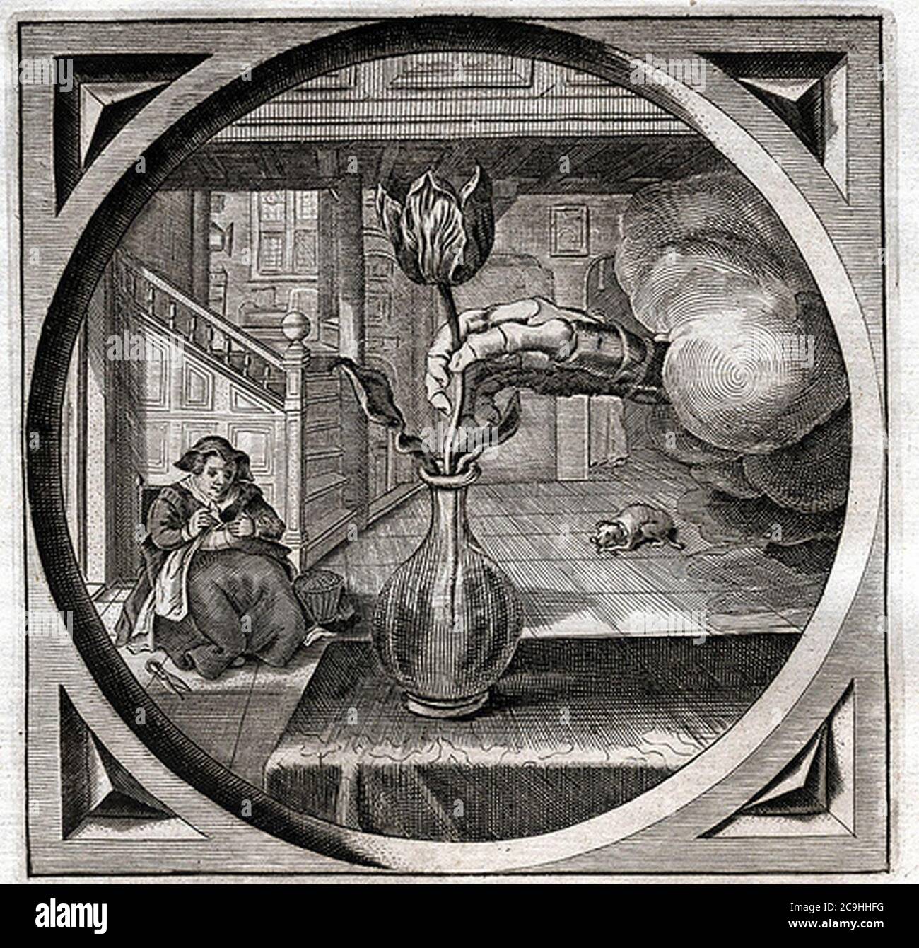 Jacob cats hi-res stock photography and images - Alamy