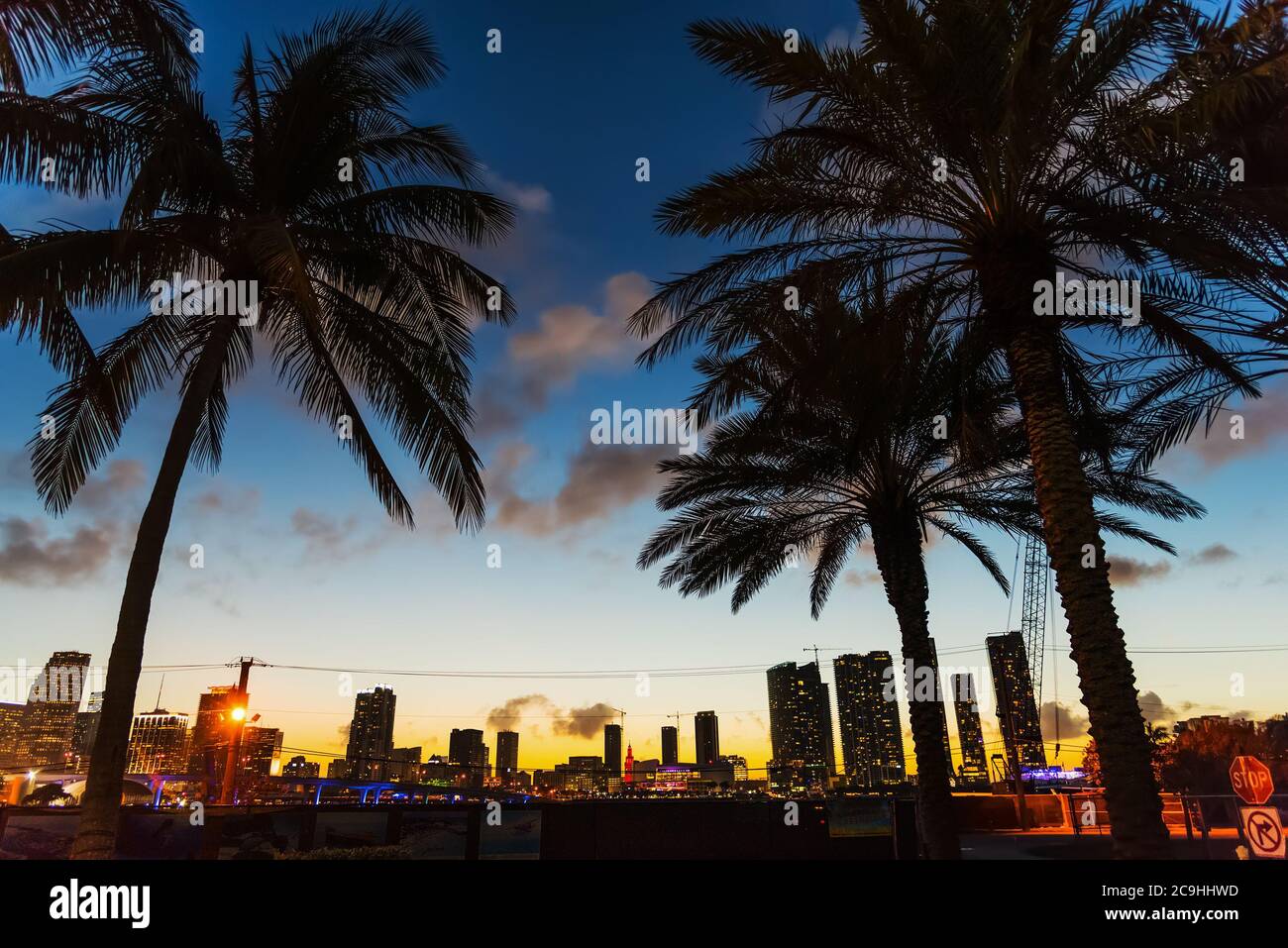 Palm trees in Watson island, Miami. Southern Florida, USA Stock Photo ...