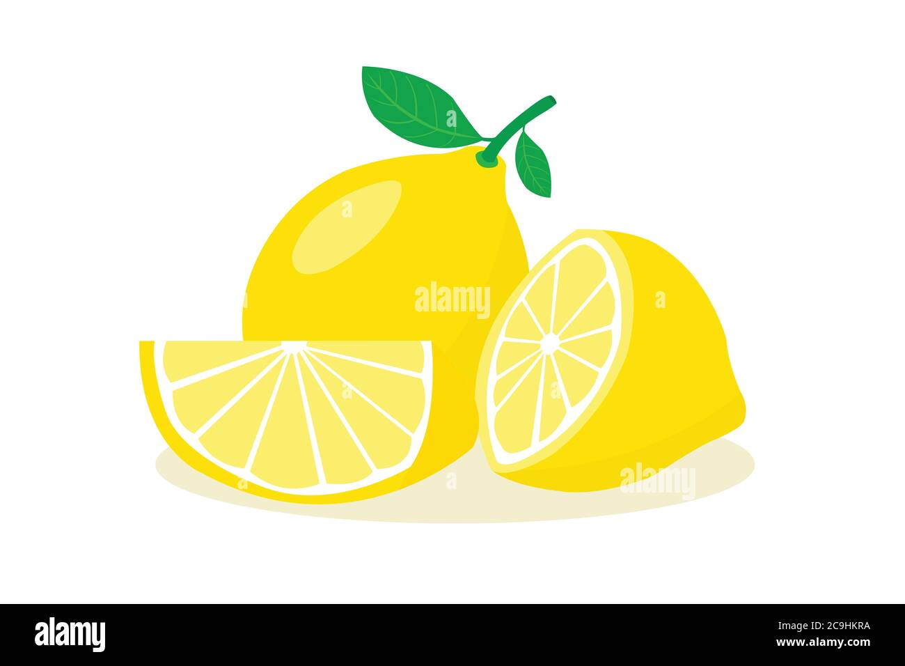 Lemon isolated on white background. Lemon vector cut half on white ...