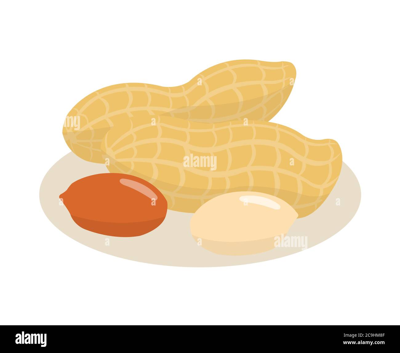 Peanut isolated on white background Stock Vector Image & Art - Alamy