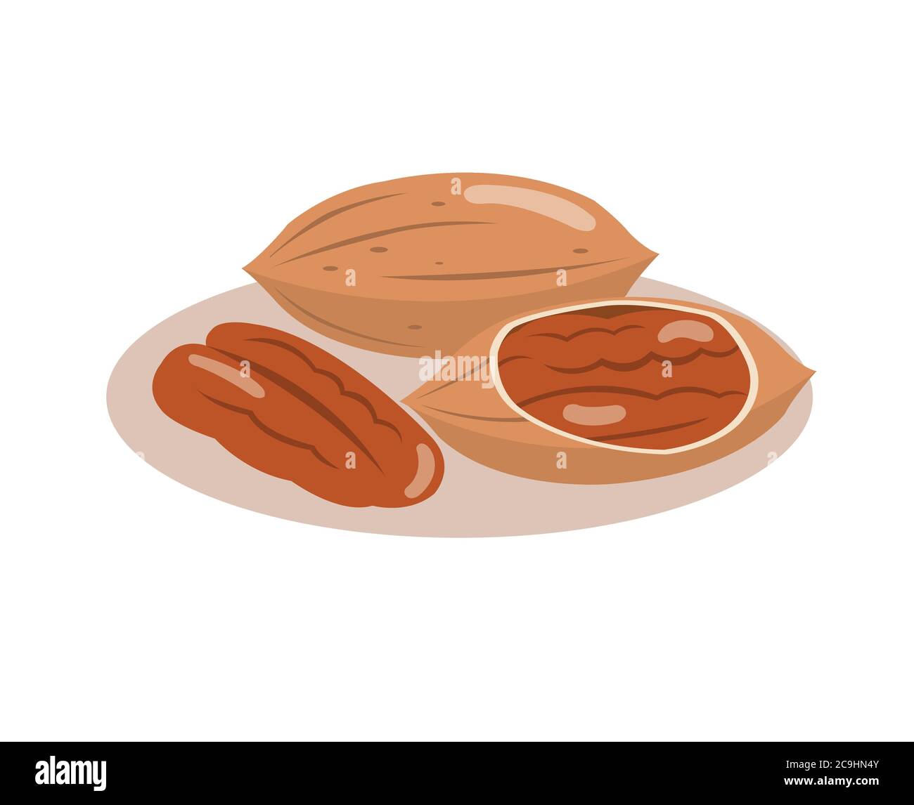 Pecan and shell Stock Vector Images - Alamy