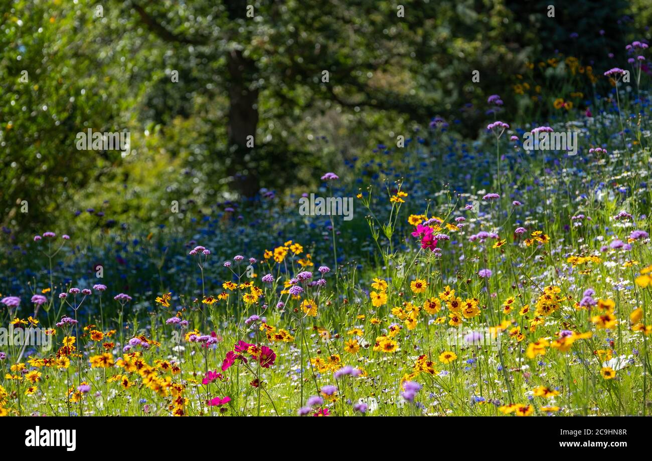 Savill building surrey hi-res stock photography and images - Alamy