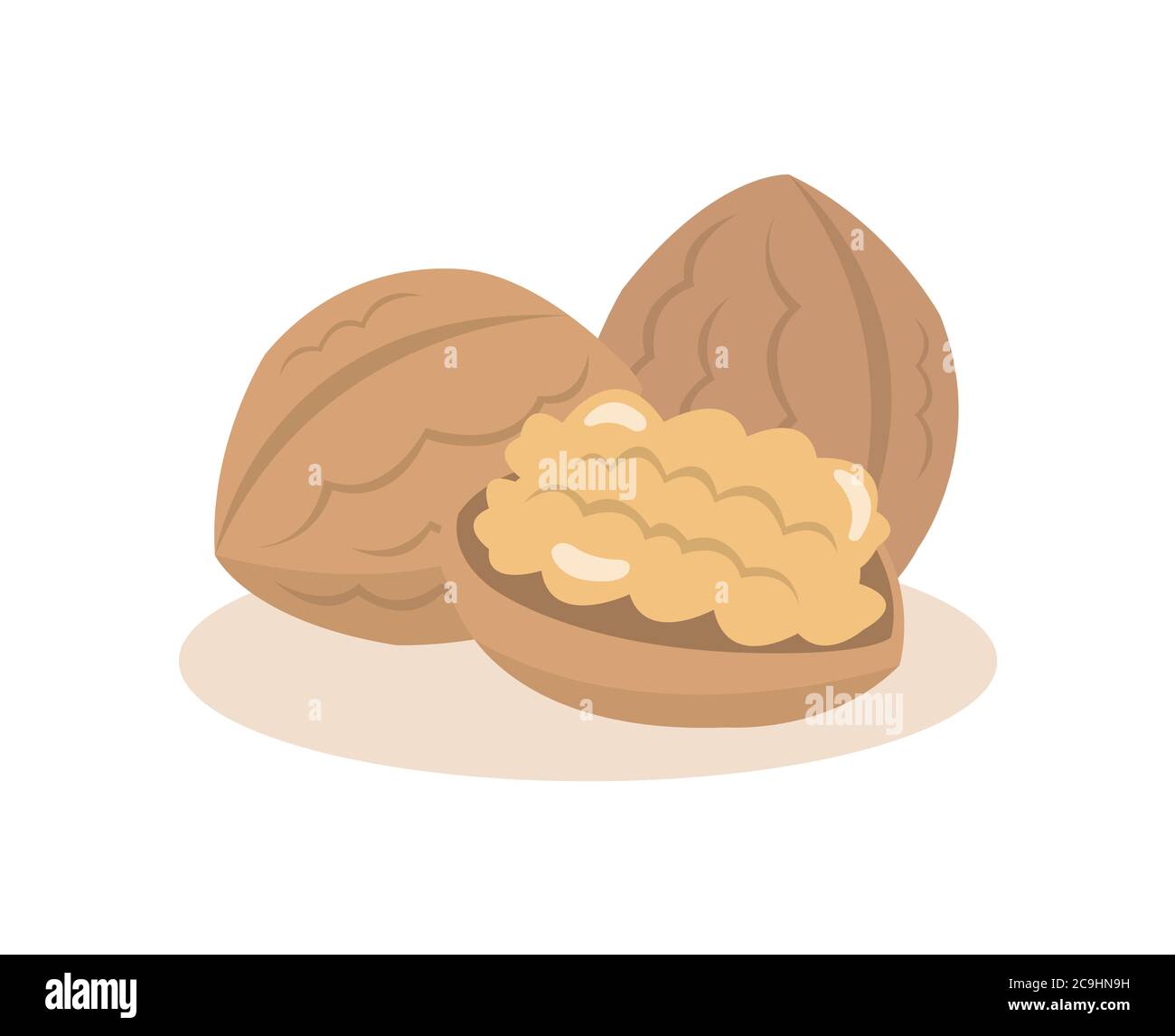 Walnut nuts isolated on white background Stock Vector Image & Art - Alamy