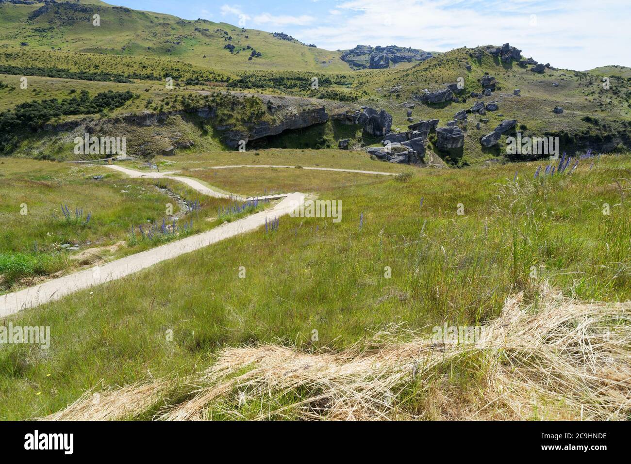 Cave Stream Scenic Reserve in the South Island of New Zealand Stock ...