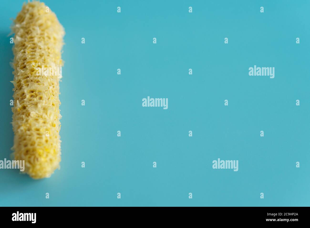 Whole and empty corn cob. Maize. Zea mays. Two boiled corncobs. One ...