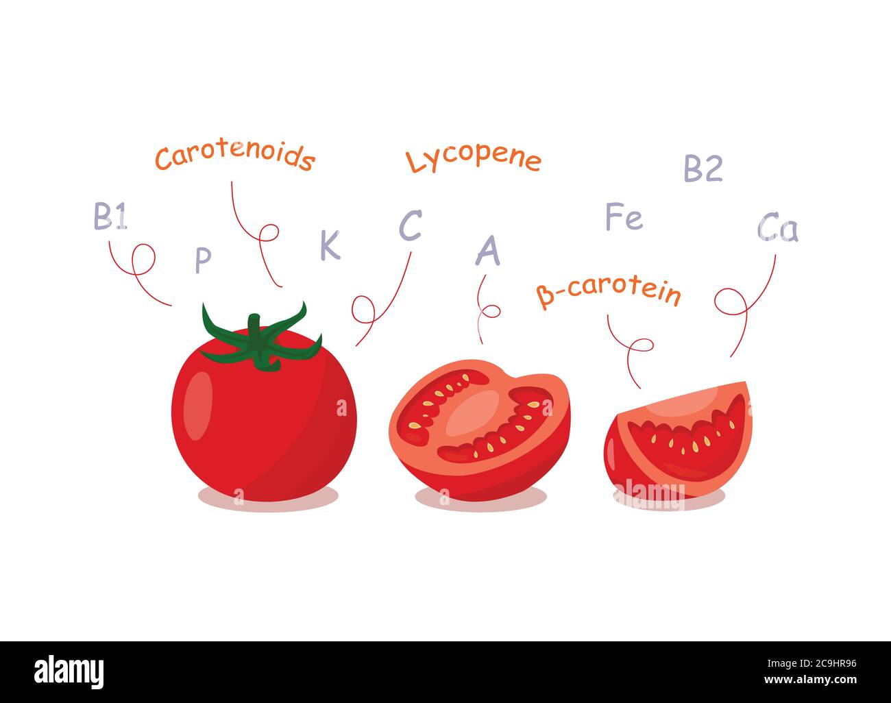 Tomatoes with vitamins and nutrients float on top isolated on white ...