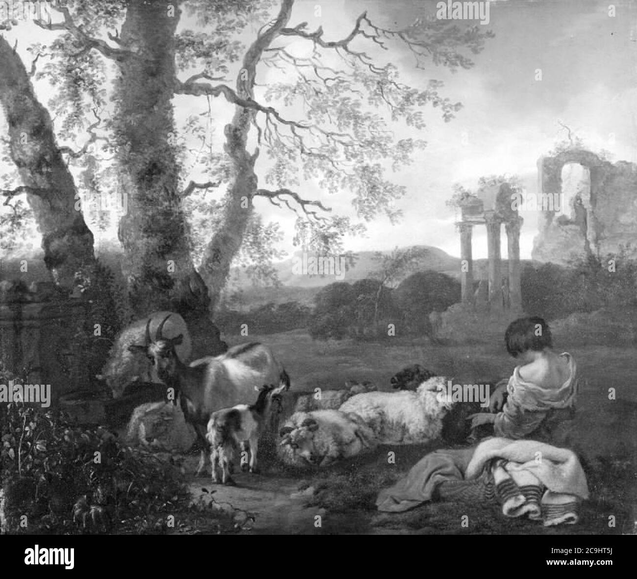 Sheep van Black and White Stock Photos & Images - Alamy