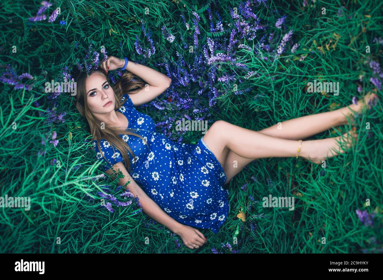 Young Slim Fair Skinned Girl Blonde Beautiful Lies In Tall Grass Stock