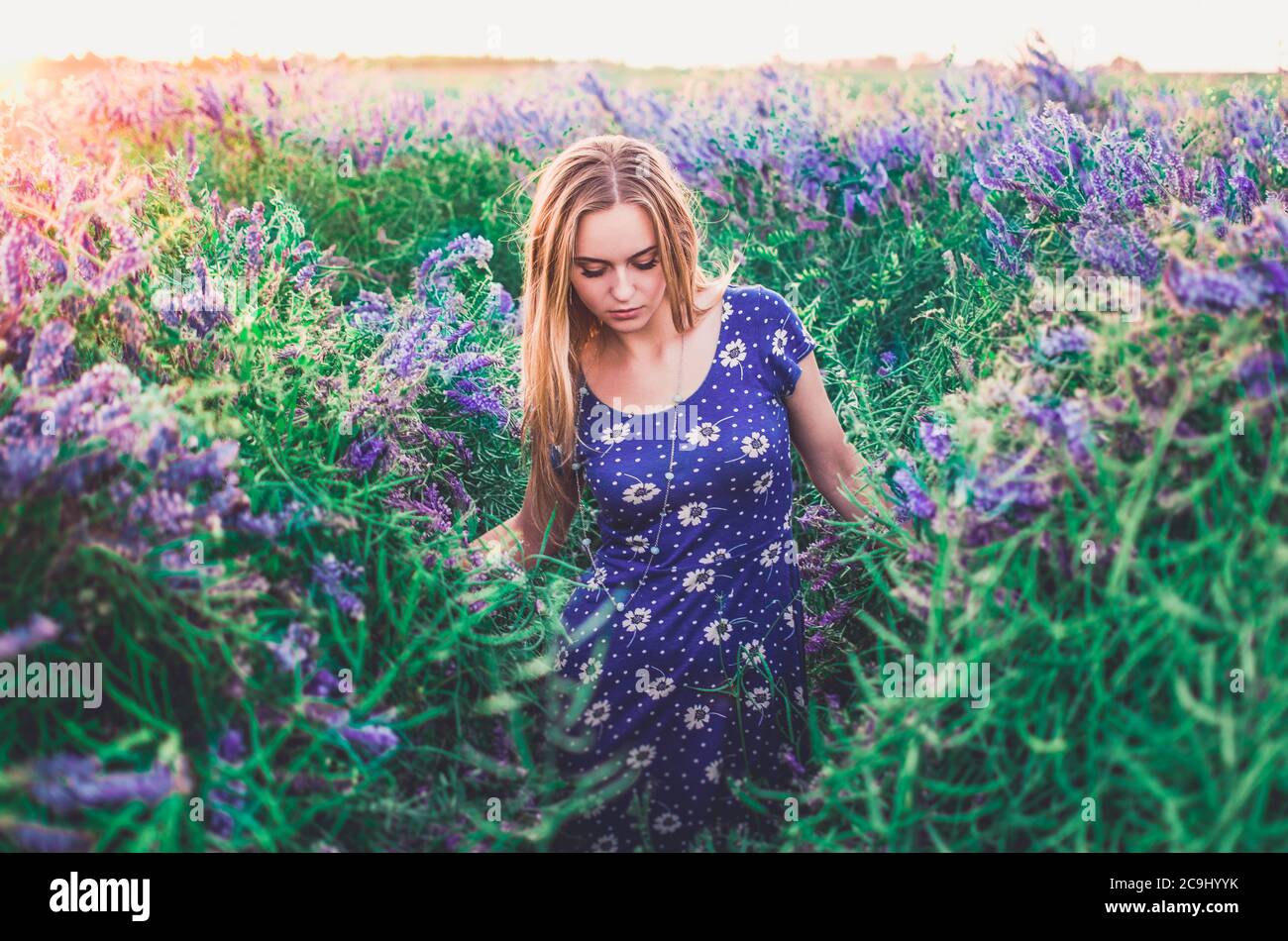 European blonde young slim girl walks on tall grass Stock Photo - Alamy