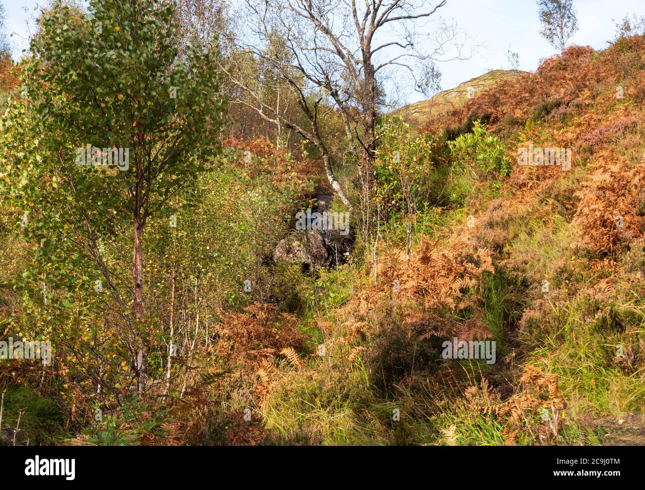 Autumn scotland walking hi-res stock photography and images - Alamy