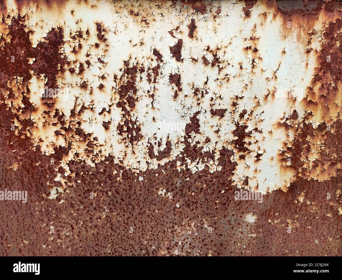 Corroded metal background. Rusted white painted metal wall. Rusty metal ...