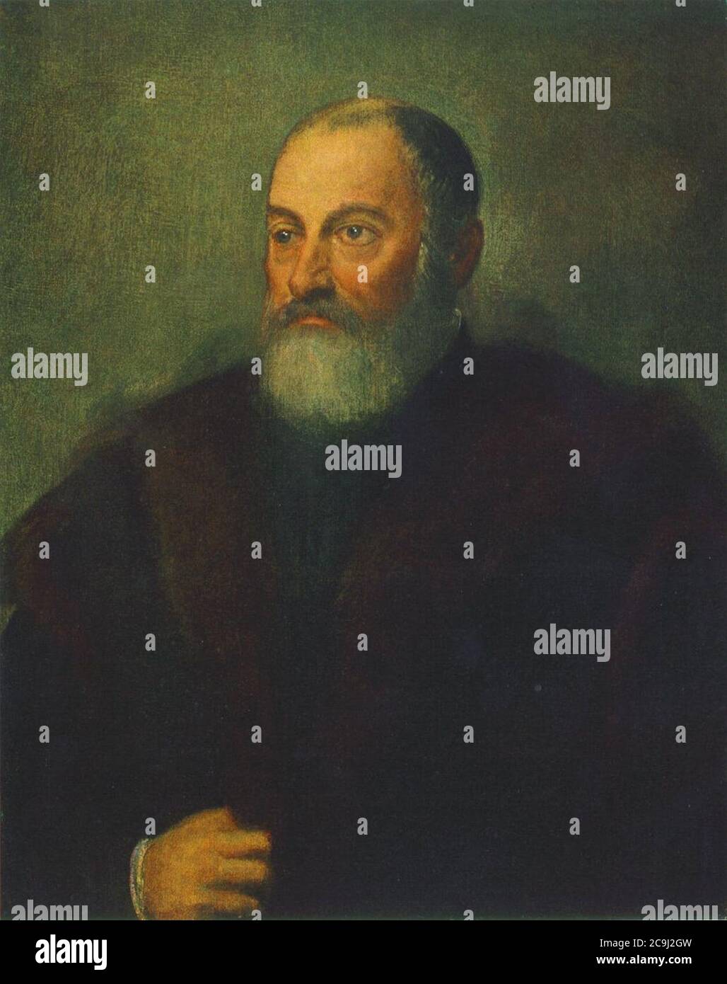 Jacopo Tintoretto - Portrait of a Man Stock Photo - Alamy