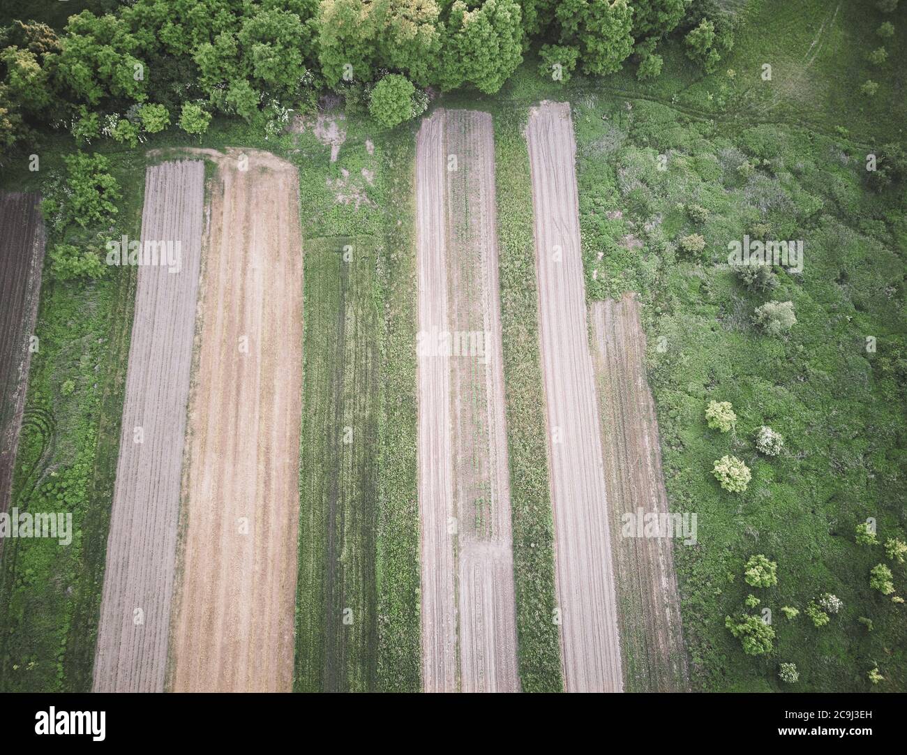 Forest eagle eye view hi-res stock photography and images - Alamy