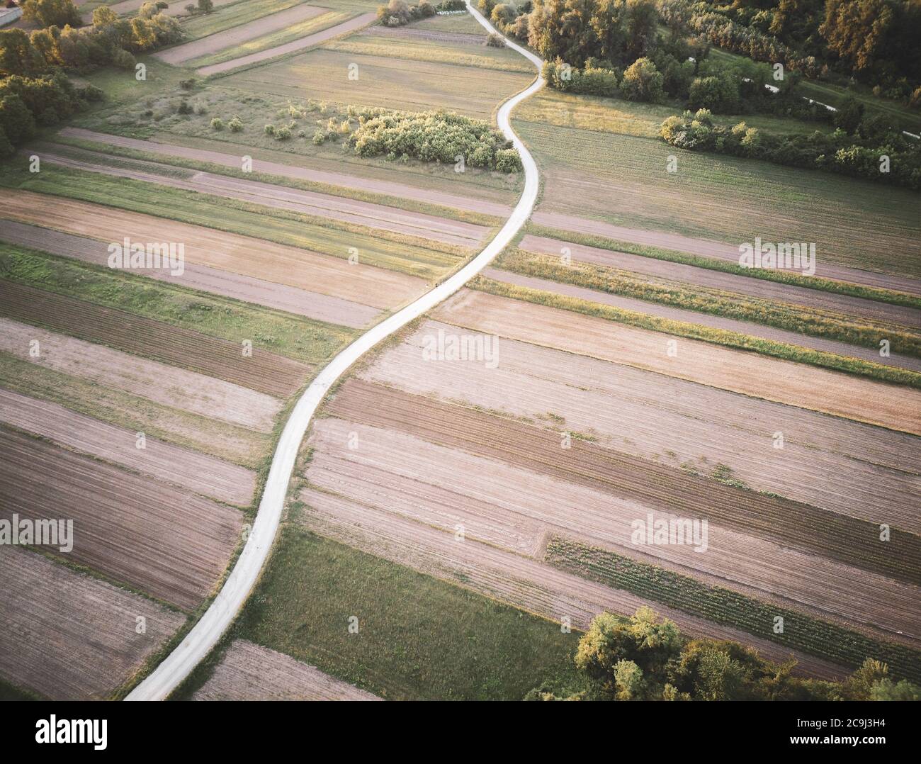 Aerial perspective of cultivated crop fields and narrow dirt road in ...
