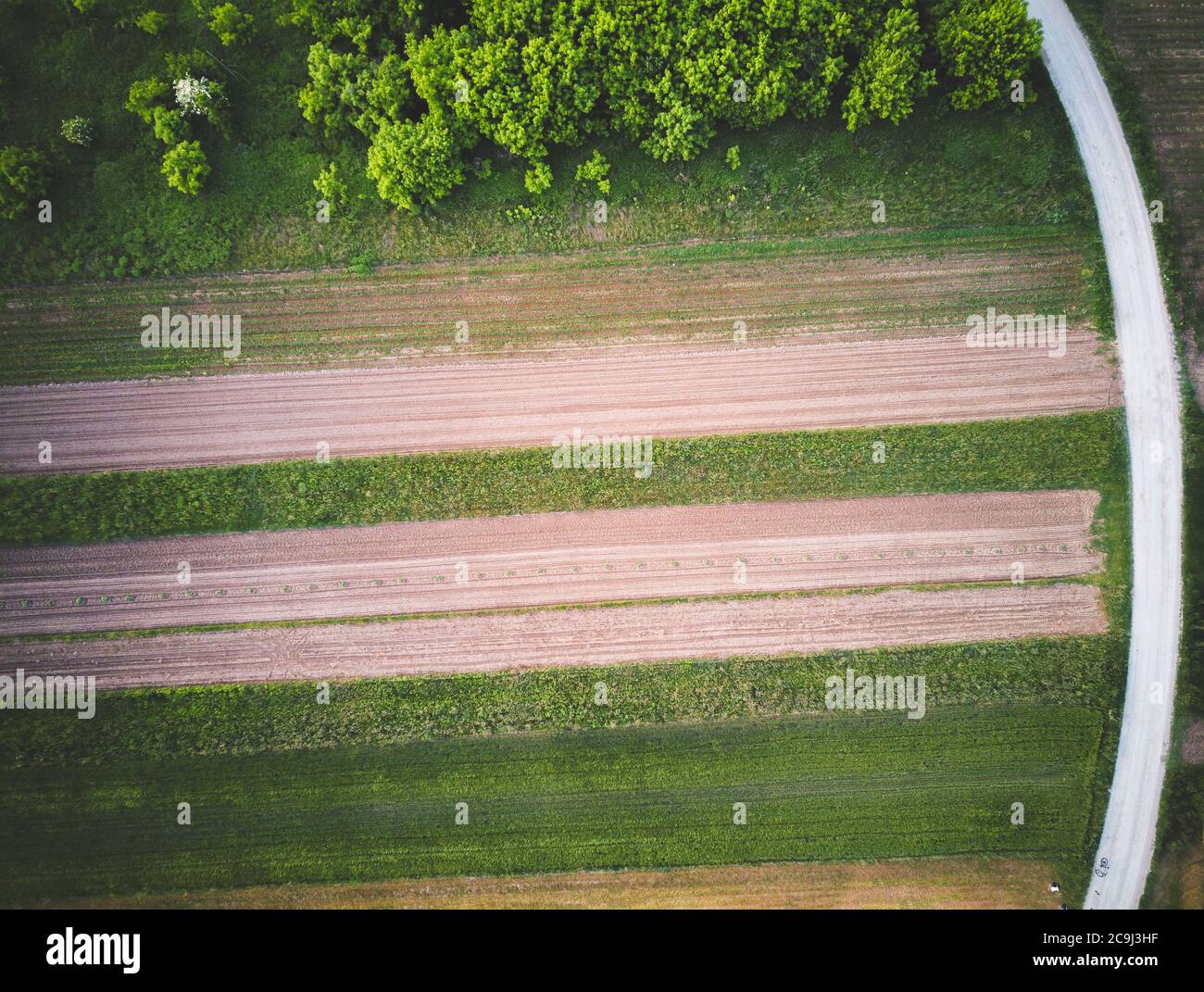 Forest eagle eye view hi-res stock photography and images - Alamy