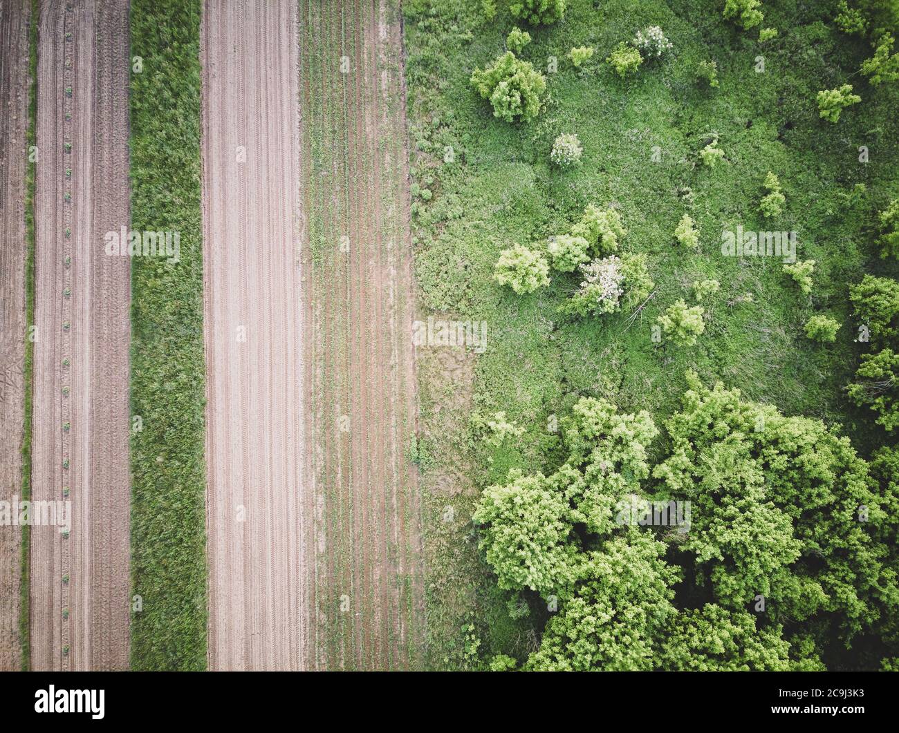 Aerial perspective of rural crop field situated next to the forest edge ...
