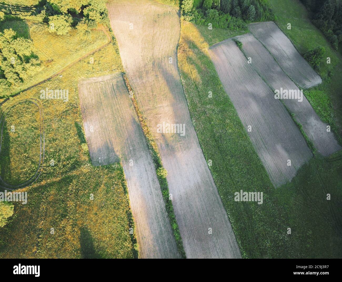 Aerial view of beautiful cultivated crop fields surrounded by dense ...