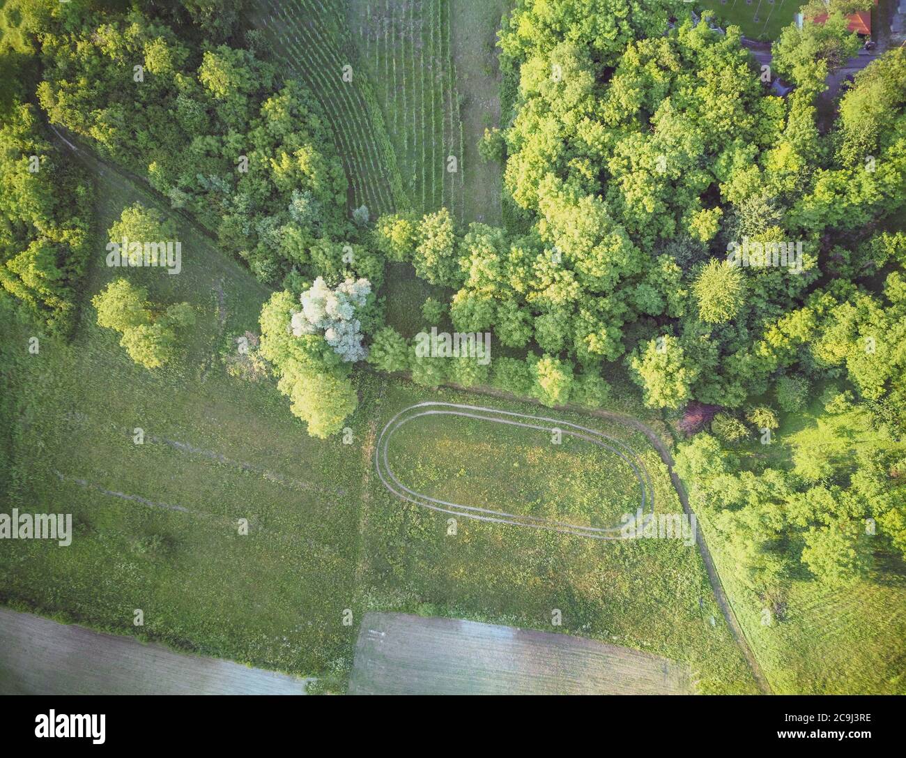 Forest eagle eye view hi-res stock photography and images - Alamy