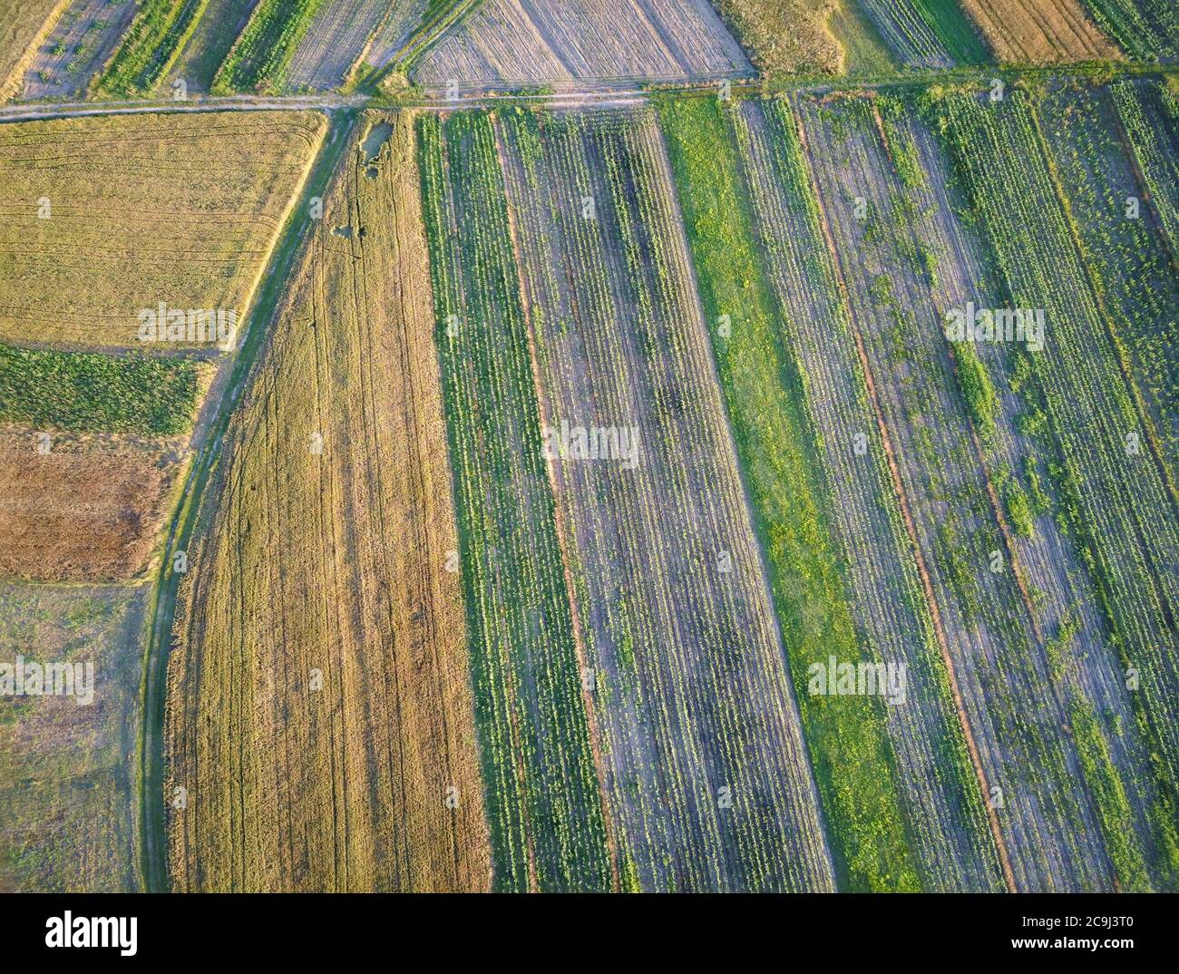 Beautiful crop fields with magical shapes and colors photographed with ...