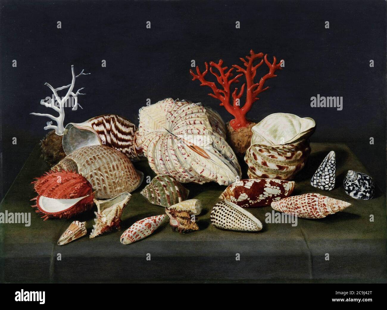 Jacques Linard - Still life with shells and coral - 55 linard 2799 ...