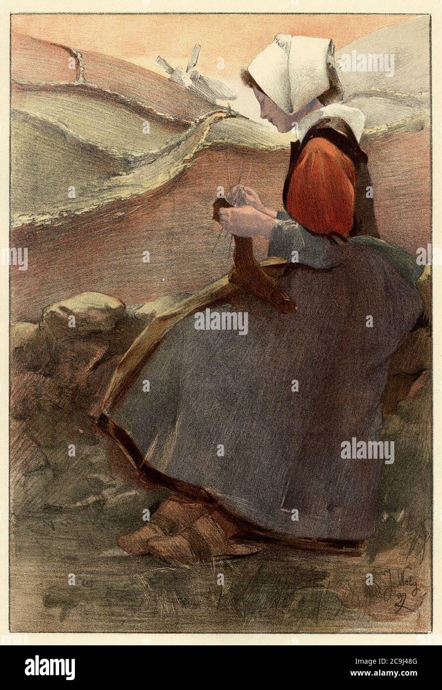 Fleur de lande hi-res stock photography and images - Alamy