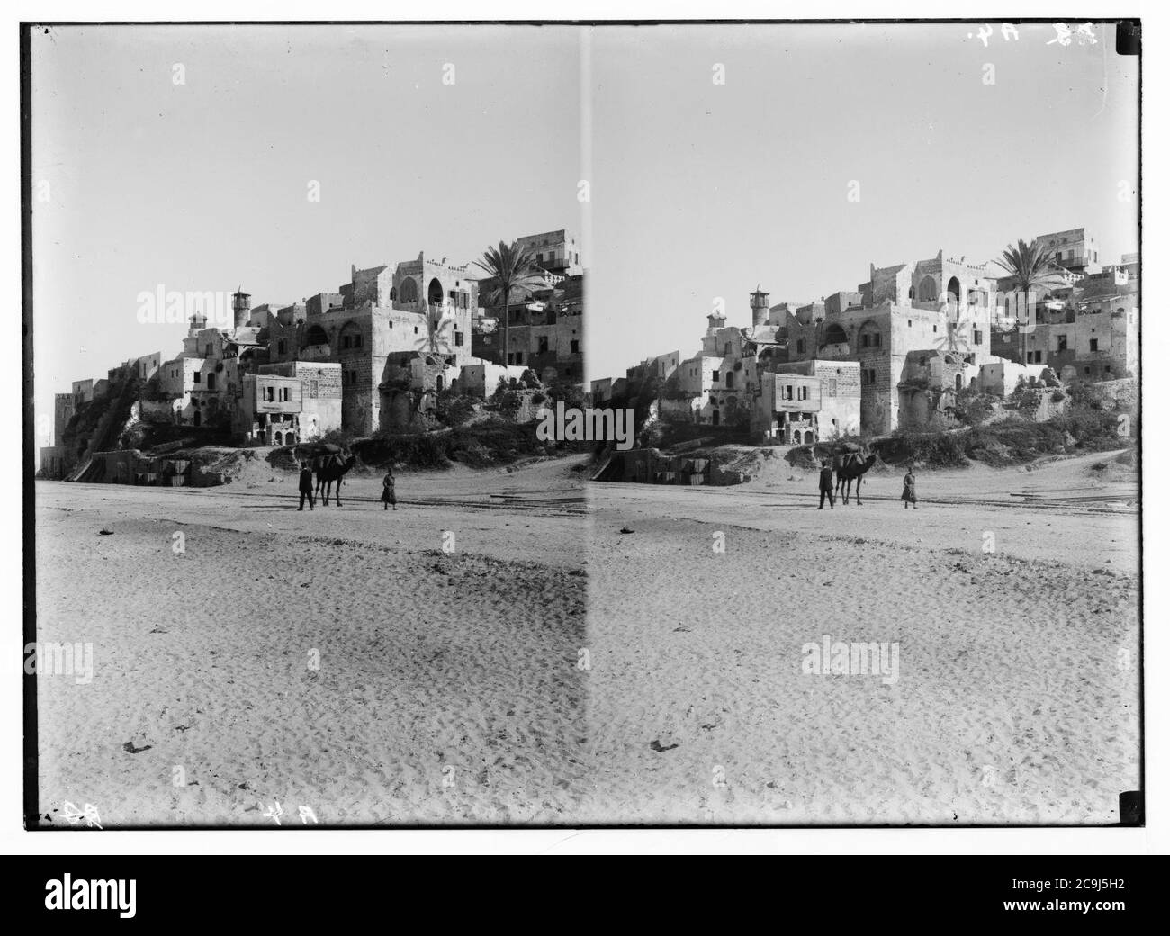 Jaffa (Joppa) and environs. Jaffa from the south beach Stock Photo - Alamy