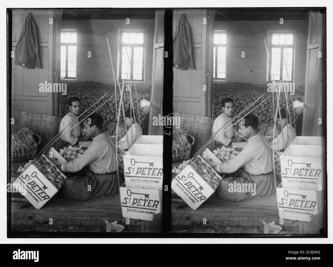 Jaffa orange culture. Orange packing house Stock Photo - Alamy