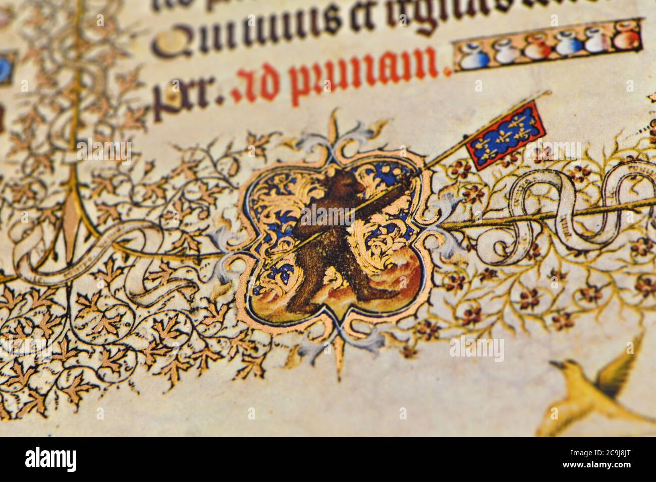 Old book page latin hi-res stock photography and images - Alamy