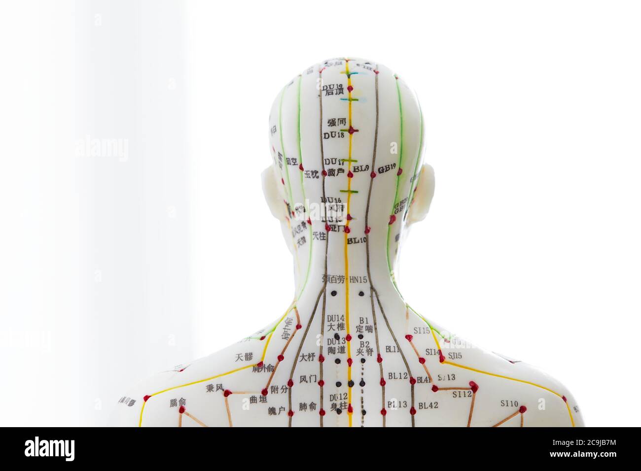 Acupuncture model against a white background Stock Photo - Alamy