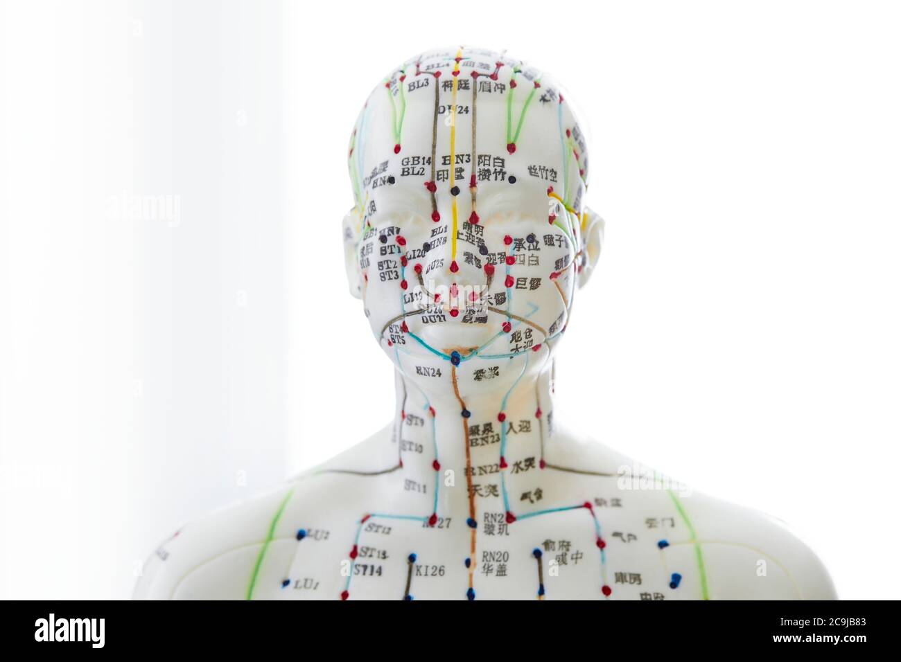 Acupuncture model against a white background Stock Photo - Alamy