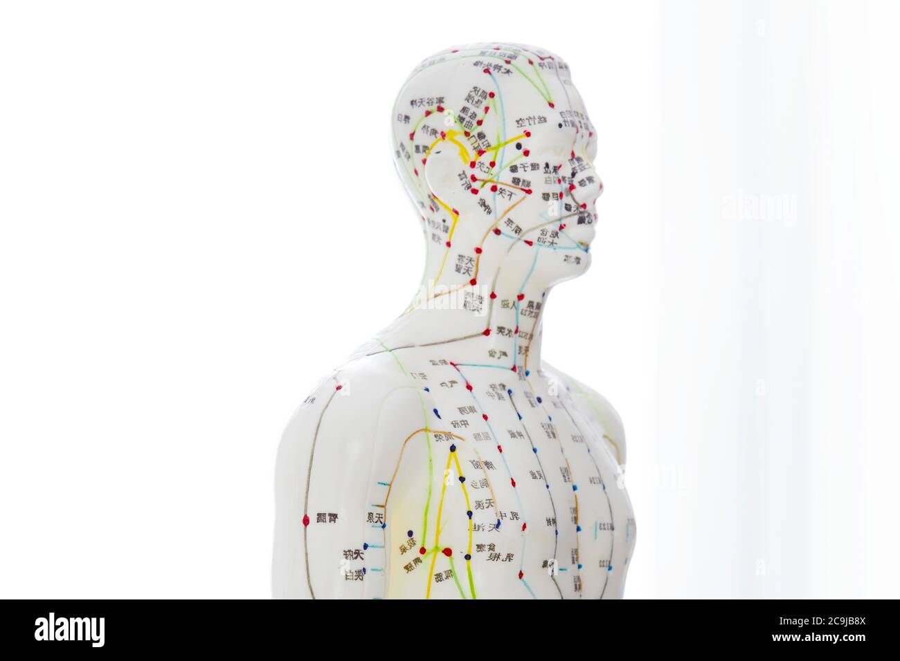 Acupuncture model against a white background Stock Photo - Alamy