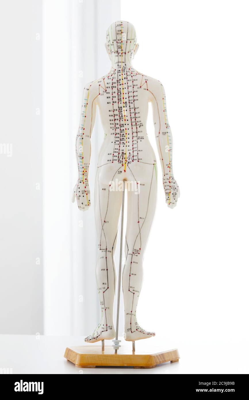 Female acupuncture model hi-res stock photography and images - Alamy