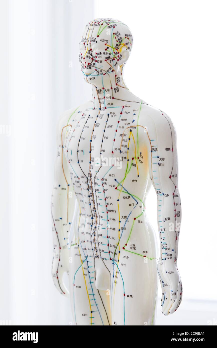 Acupuncture model against a white background Stock Photo - Alamy