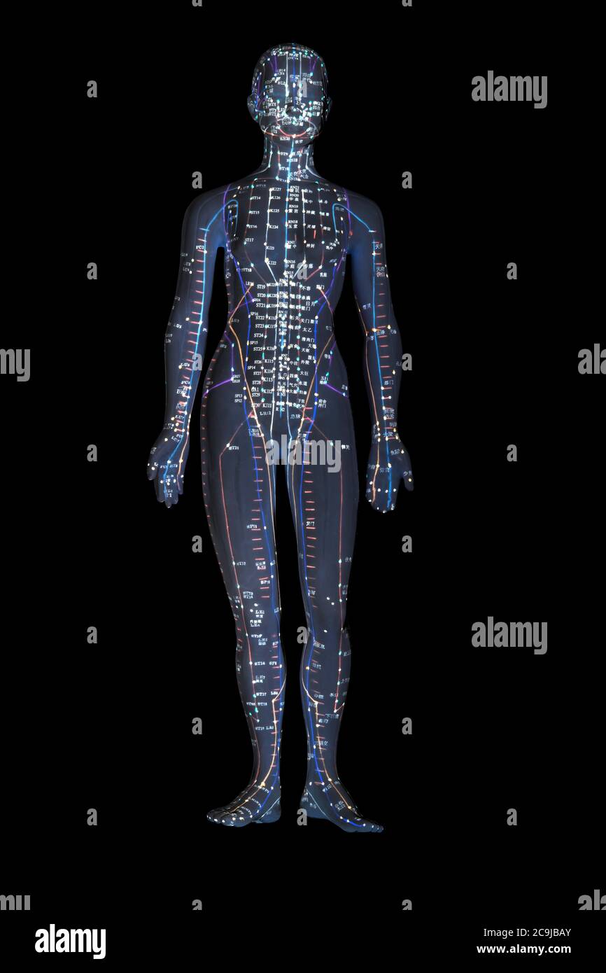 Acupuncture model against a black background Stock Photo - Alamy