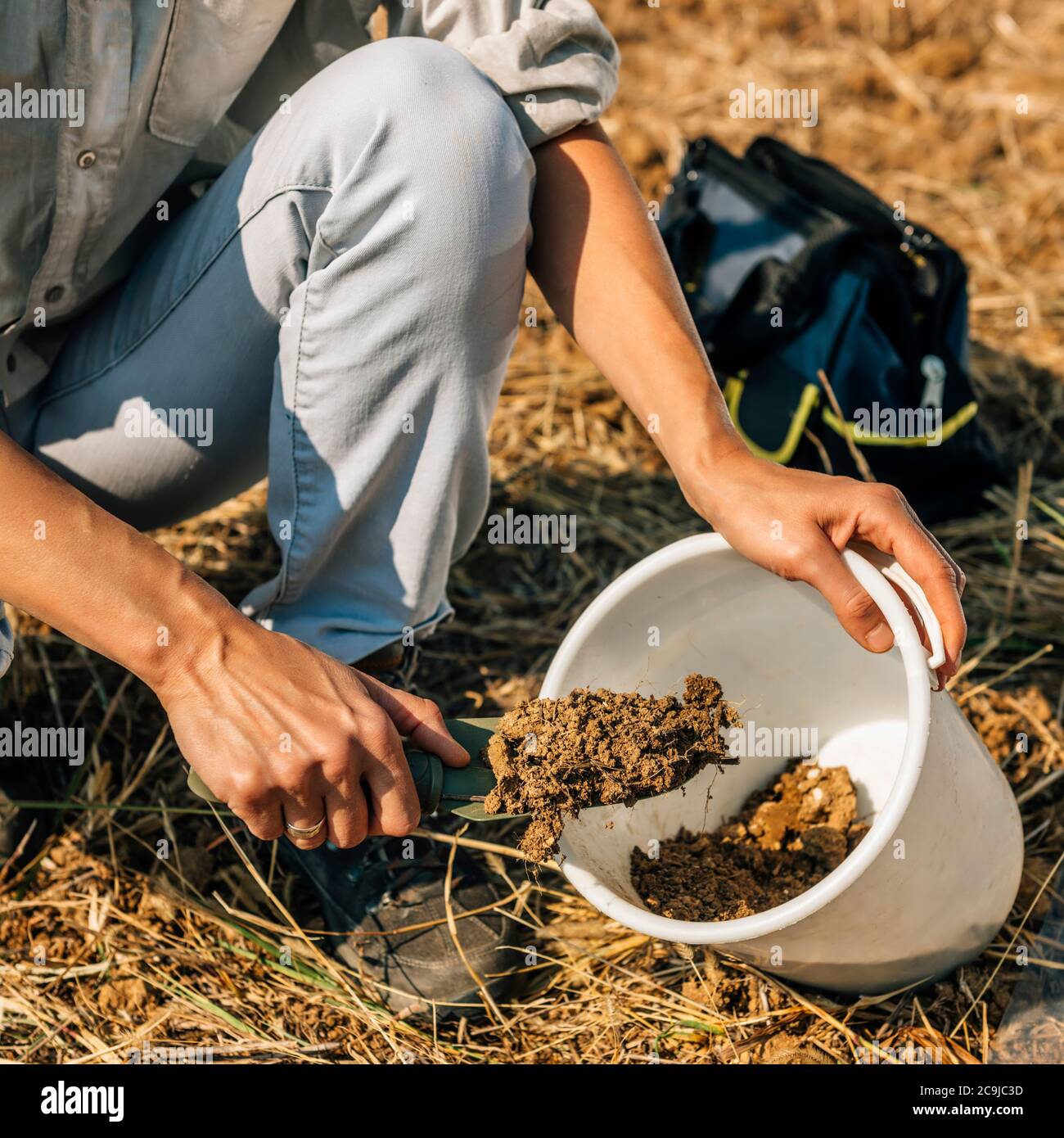 Soil Testing. Agronomy specialist taking soil sample for fertility ...