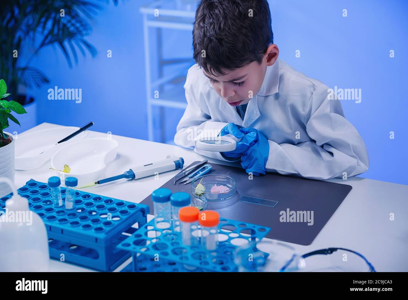 Schoolboy examining leaves in a laboratory Stock Photo - Alamy