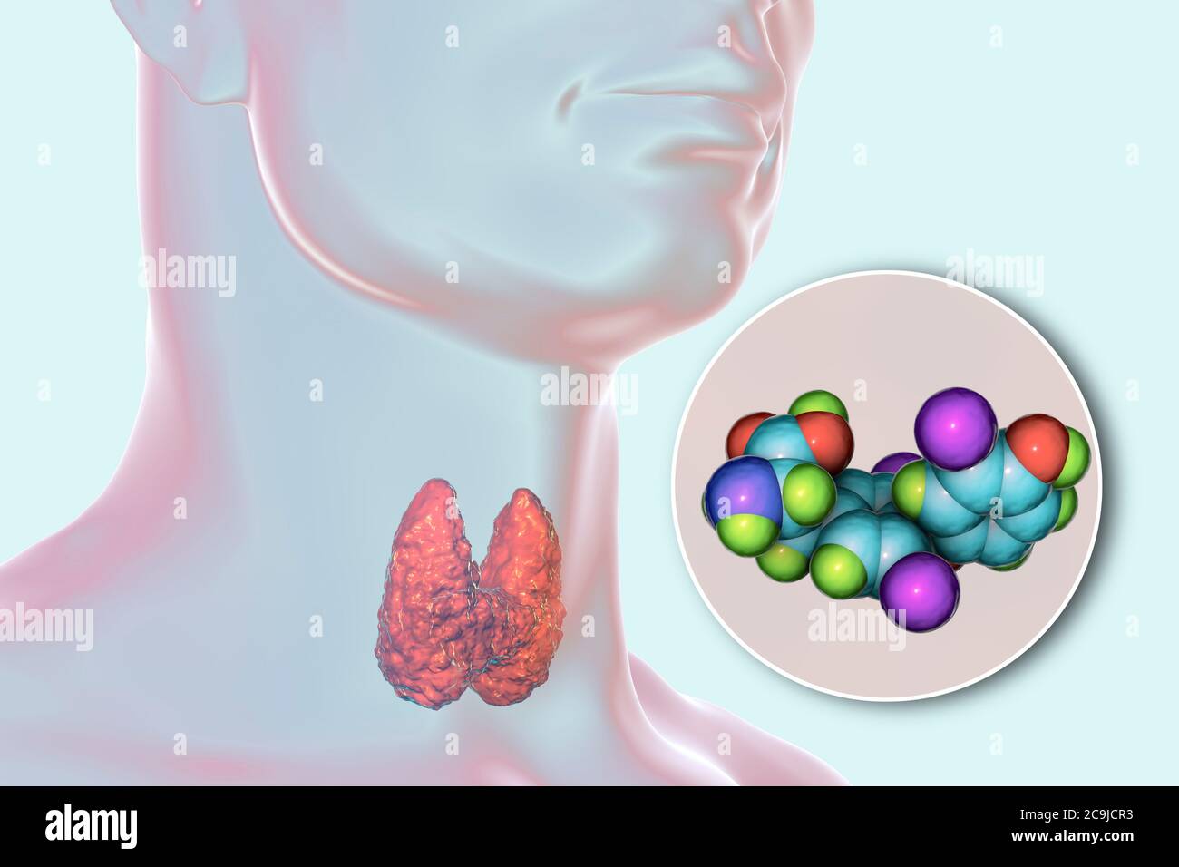Molecule Of Triiodothyronine T3 A Hormone Produced By Thyroid Gland Computer Illustration