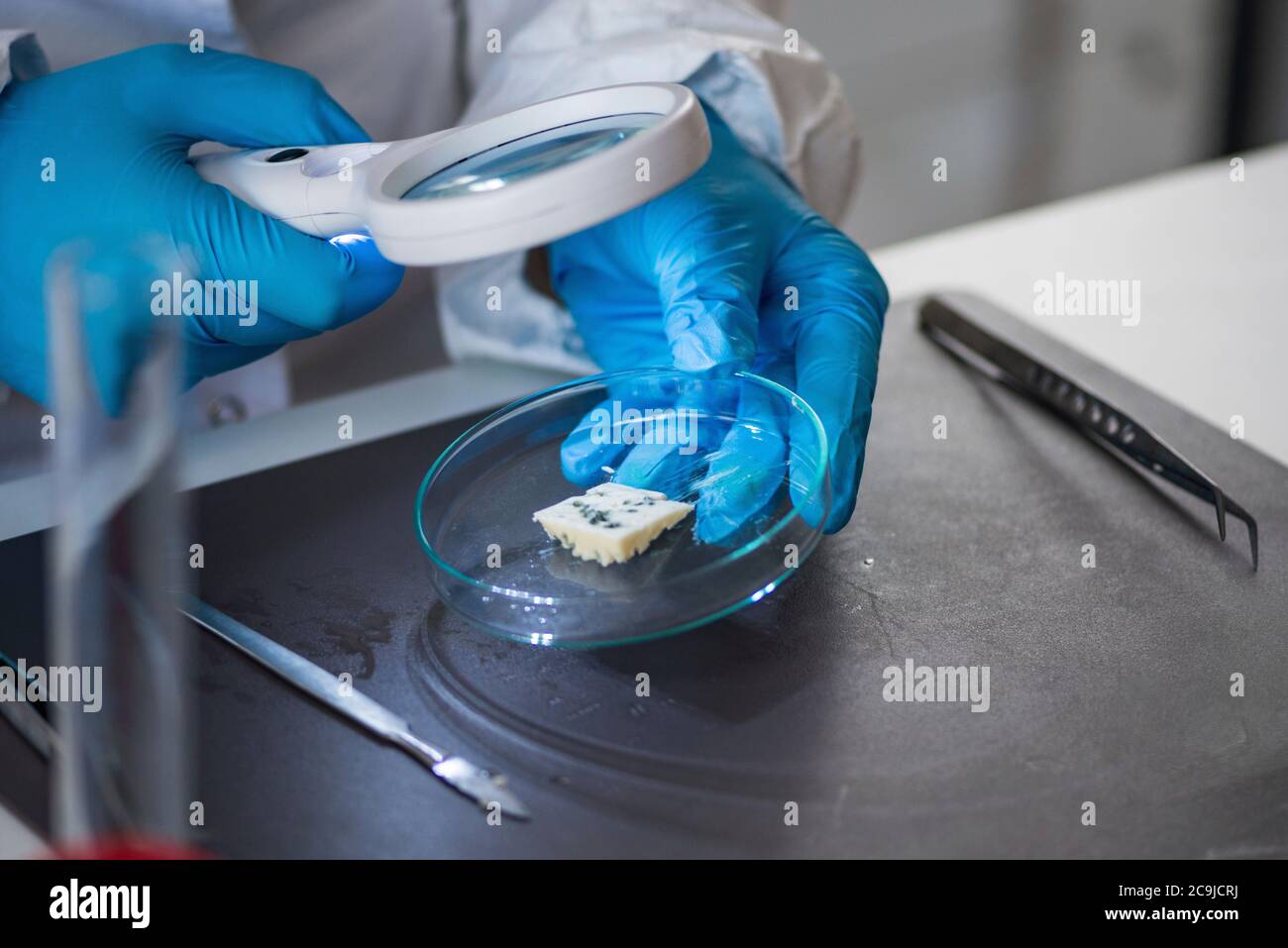 Quality control expert inspecting cheese in the laboratory Stock Photo ...