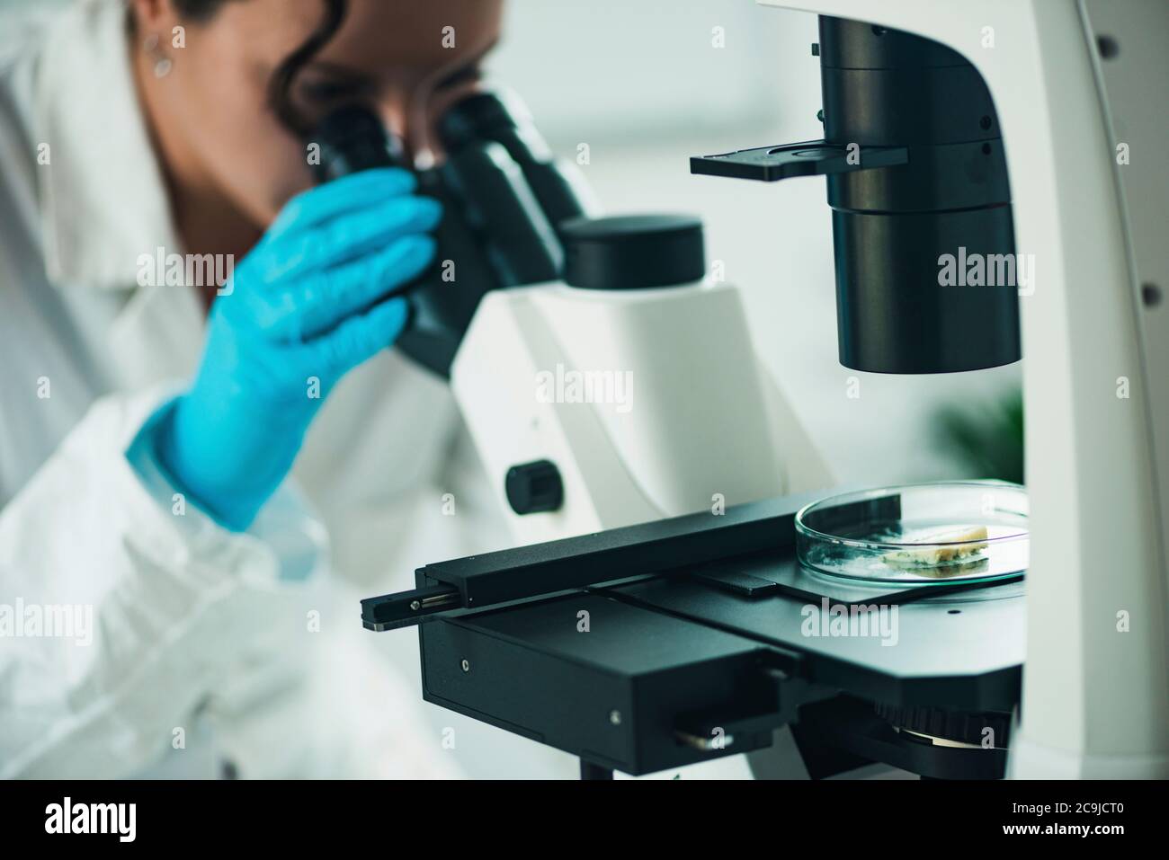 Quality control expert inspecting cheese in the laboratory Stock Photo ...