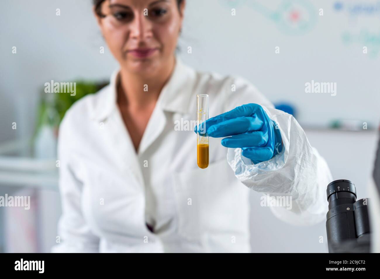 Quality control expert inspecting turmeric in the laboratory Stock ...